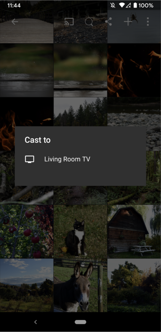 SmugMug release notes